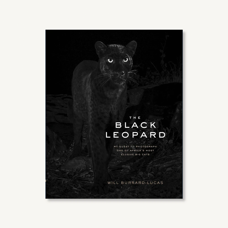 The Black Leopard - Will Burrard-Lucas | The Red Balloon Company