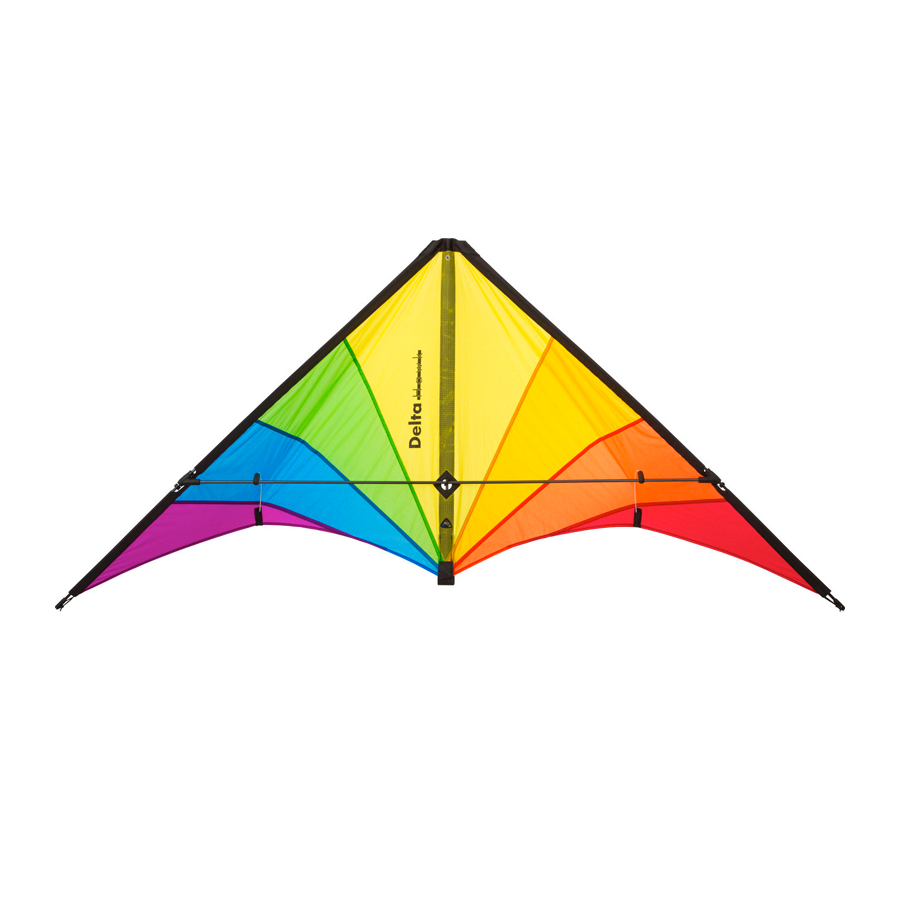 Delta Kite Rainbow